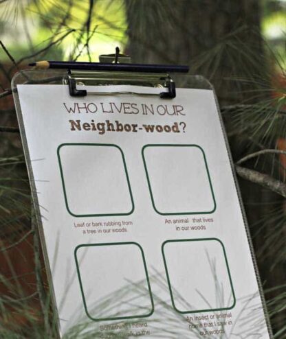FREE Printable Forest Activity Sheet for Toddlers and Preschoolers