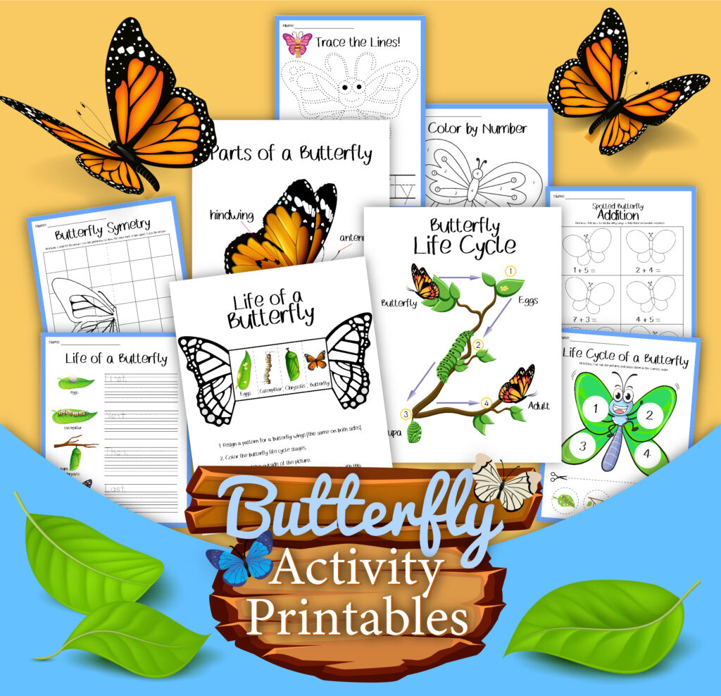Butterfly Life Cycle Activity Pack - Rainy Day Mum Shop