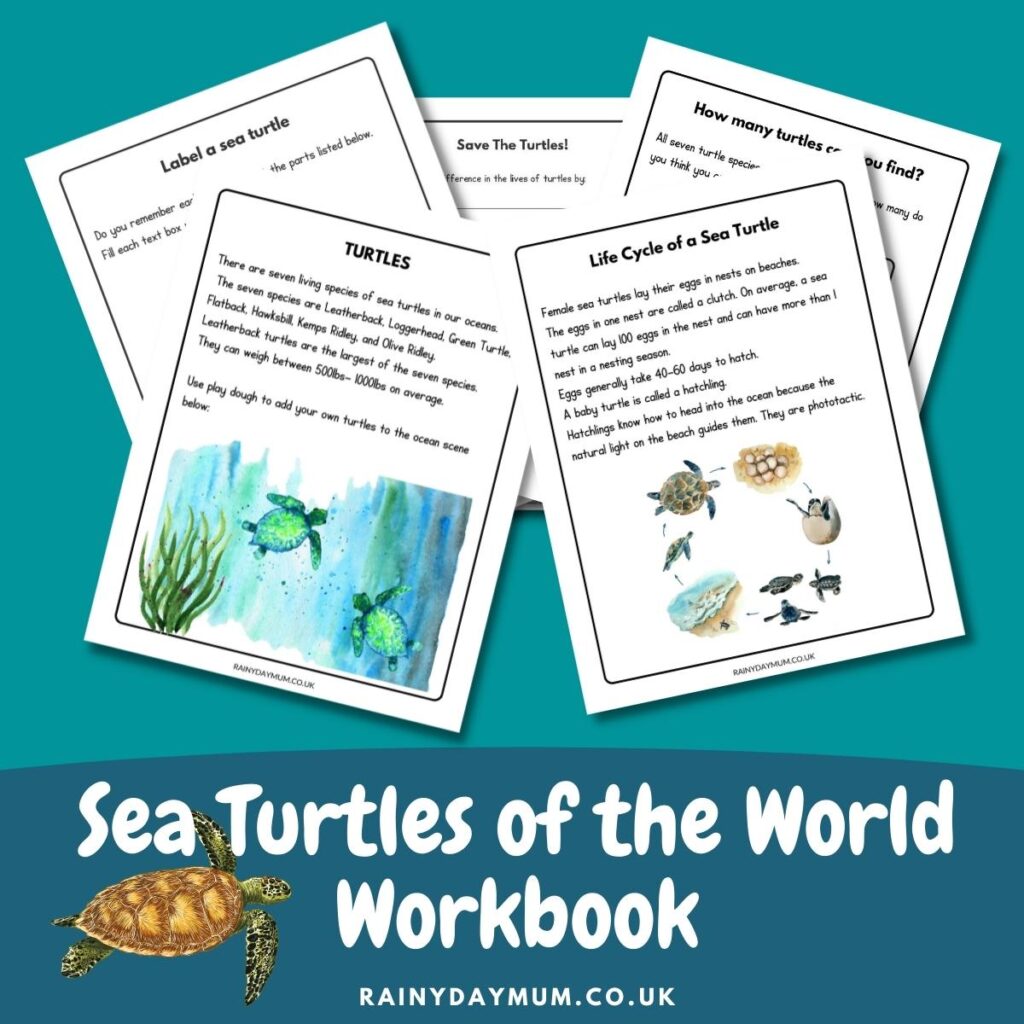 FREE Printable Preschool Frog Life Cycle Flip Book